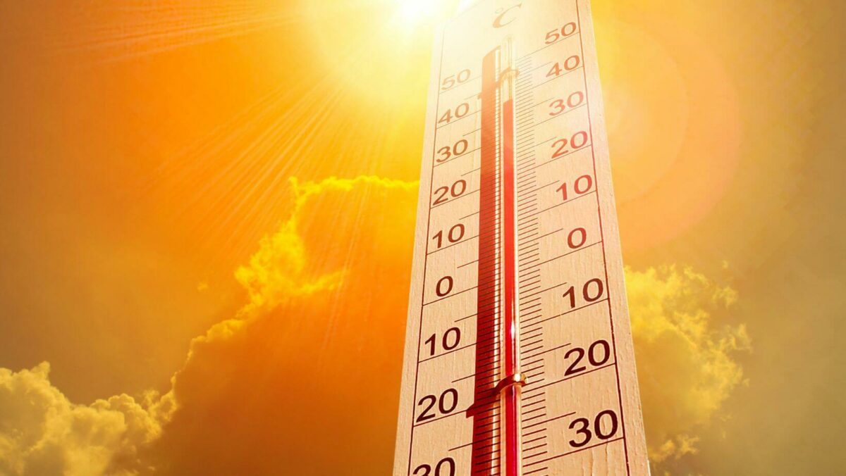 Beat the Heat: Essential Tips for Staying Safe in the Summer Workplace ...